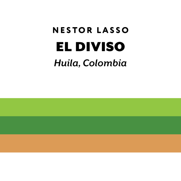 H&S Coffee- Colombia El Diviso Gesha 250g – Norma Supply Co.